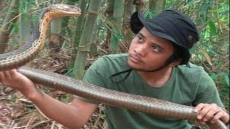 Teror Ular: Panji Petualang Beberkan Fakta tentang Kobra